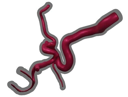 Graylight Imaging – Medical Imaging Software